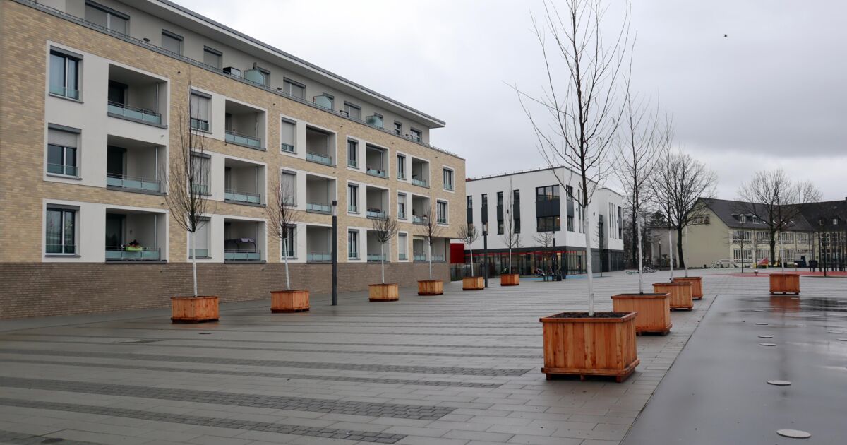 15 mobile Bäume für den Campus - Selm