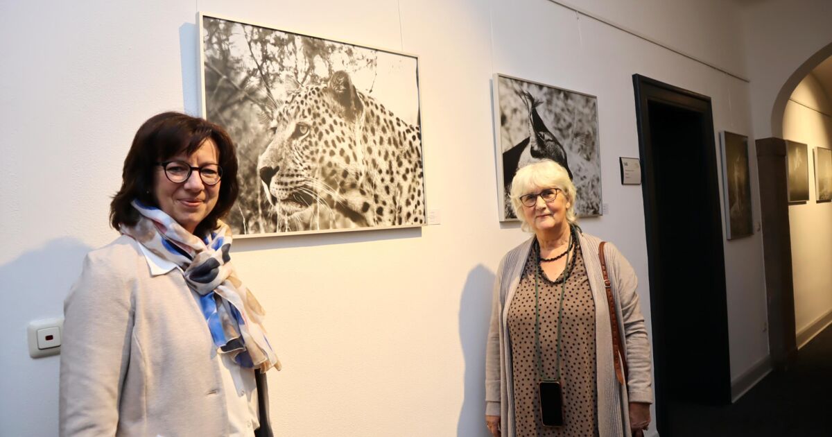 Ausstellungseröffnung Monika Zientz Amtshaus Bork 19.11 (5)-c45ebcfd.jpg